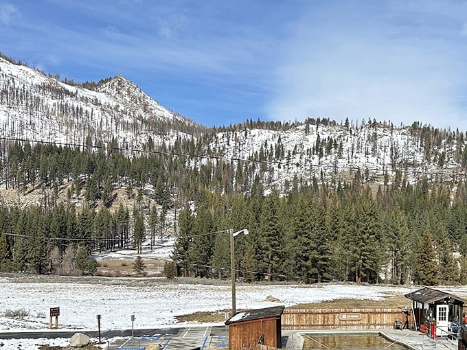 Winter transforms the park into a snow-dusted wonderland, where the contrast between steaming pools and frosty peaks becomes even more magical.