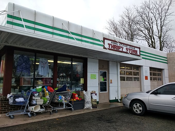 This humble storefront proves that the best treasures often come in the most unassuming packages.