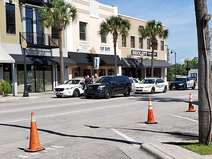 Ocala's canopy roads frame the city like nature's own cathedral arches overhead.