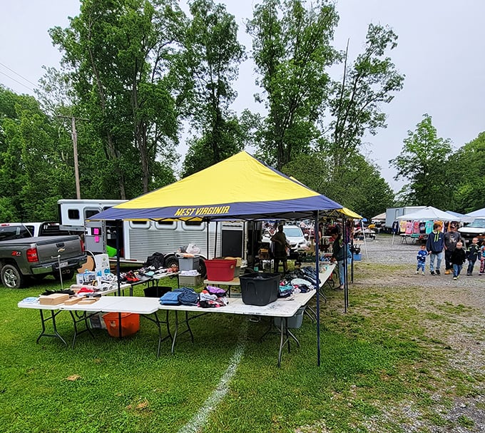A blue and yellow West Virginia tent anchors this flea market scene—state pride and second-hand treasures unite!