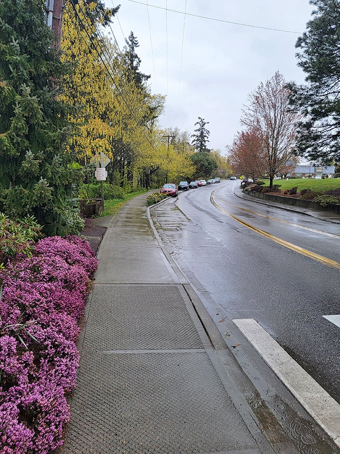 Spring blooms frame quiet residential streets in this Norwegian-inspired waterfront community perfectly.