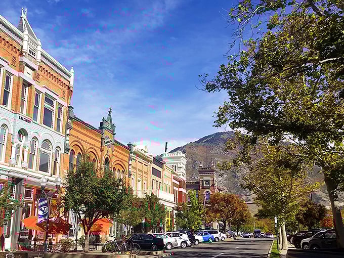 Provo's tree-lined streets showcase Utah's seasonal beauty. Even winter-bare branches frame the mountains with artistic precision.