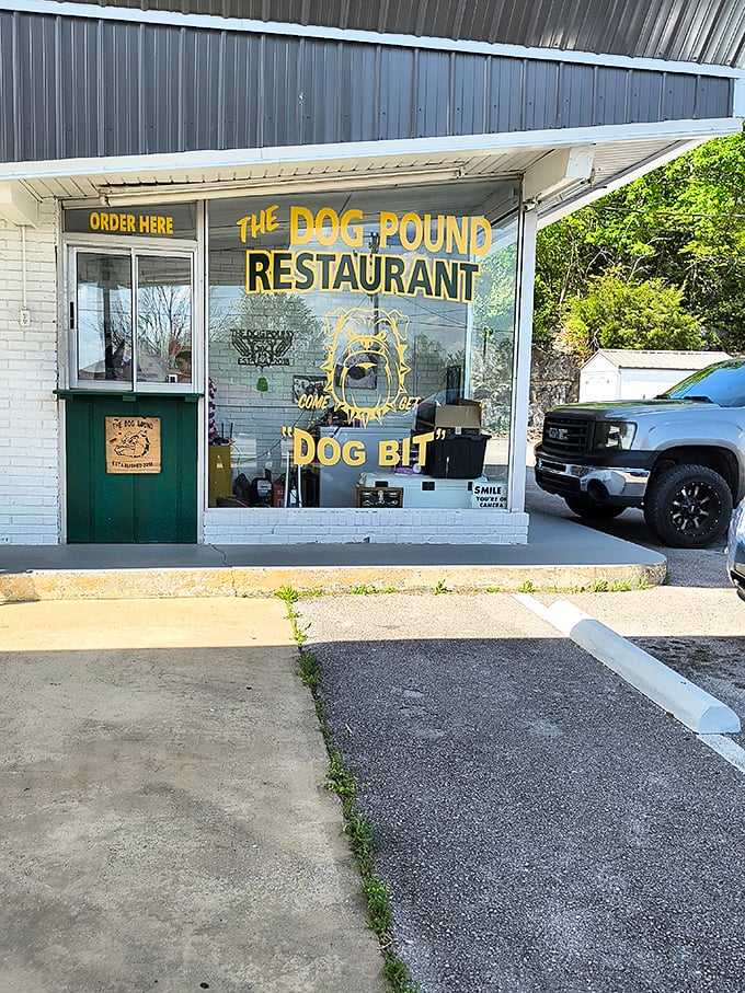 Classic roadside stand vibes meet modern hot dog excellence at this Cave City favorite spot.