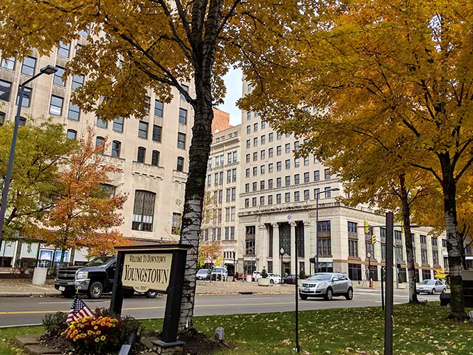 Downtown Youngstown looks beautiful in autumn, with golden leaves, historic buildings, and a warm welcome for everyone passing through.