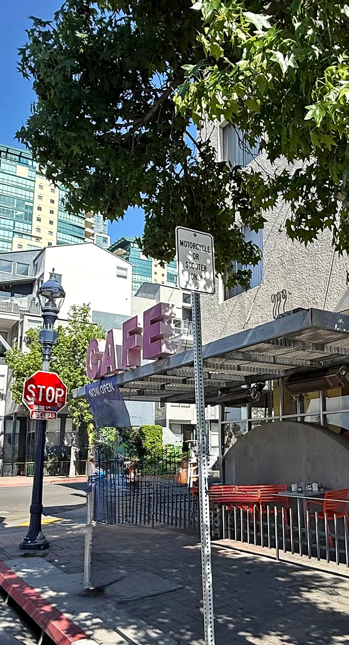 Big city energy meets neighborhood charm – where every corner hums with local flavor.