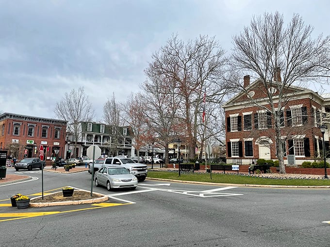 Tree-lined streets and brick buildings create the perfect backdrop for leisurely afternoon strolls in Dahlonega.