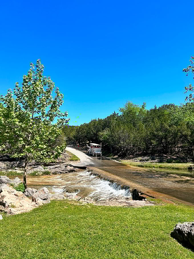 Natural limestone formations and crystal-clear pools create a geological playground that's both beautiful and refreshingly cool.