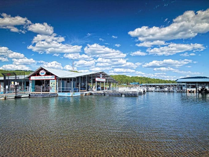 Marina life at its finest, where every day feels like vacation and the water beckons constantly.