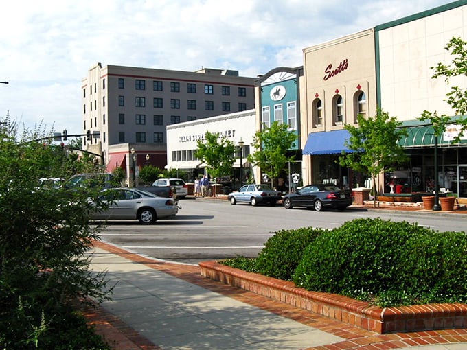 These aren't just streets and buildings—they're the community living room of Gainesville where public life unfolds daily.