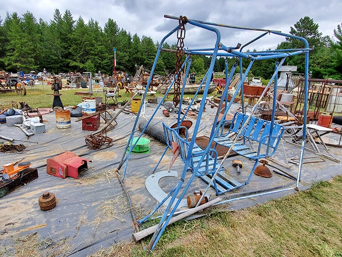 That blue swing set frame isn't junk—it's potential, possibility, and probably someone's next amazing DIY project waiting to happen.