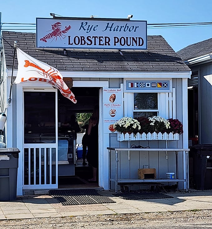 The Rye Harbor Lobster Pound's modest exterior is the seafood equivalent of Clark Kent's glasses—a humble disguise for superhero-level lobster rolls.