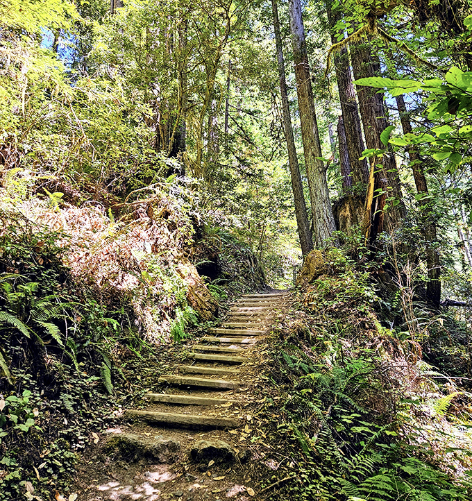 Russian Gulch's secret beach feels like nature's version of an exclusive club—except the only membership requirement is finding it.