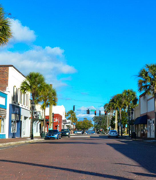 affordable florida dreamy town FTR