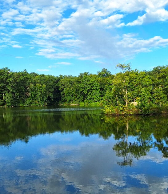 awesome secret park illinois ftr