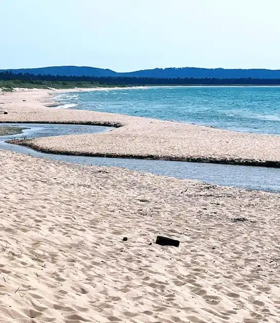 beach awesome michigan alive ftr
