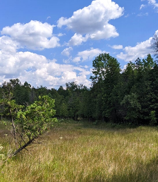 beautiful nature preserve ohio ftr