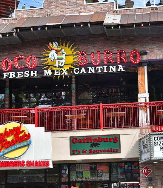 best quesadilla restaurant tennessee ftr
