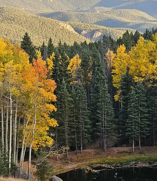 breathtaking state park colorado ftr