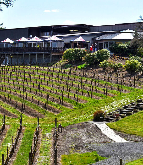 classic oregon dining winery ftr