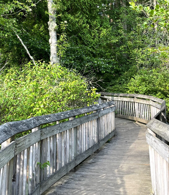 connecticut known little park ftr
