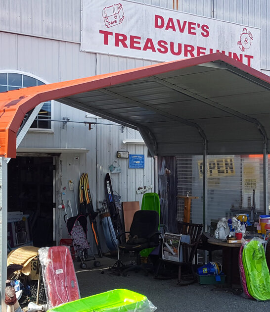 delaware vintage store worthy ftr