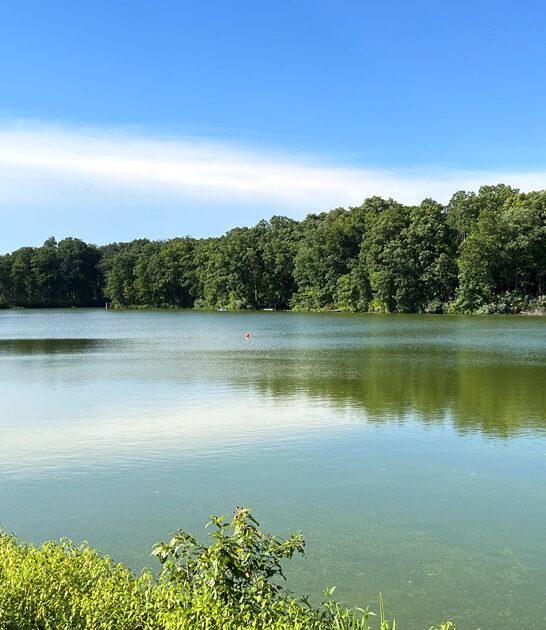 dreamiest local park illinois ftr