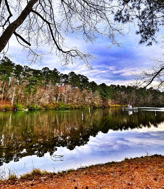 dreamy north carolina park ftr