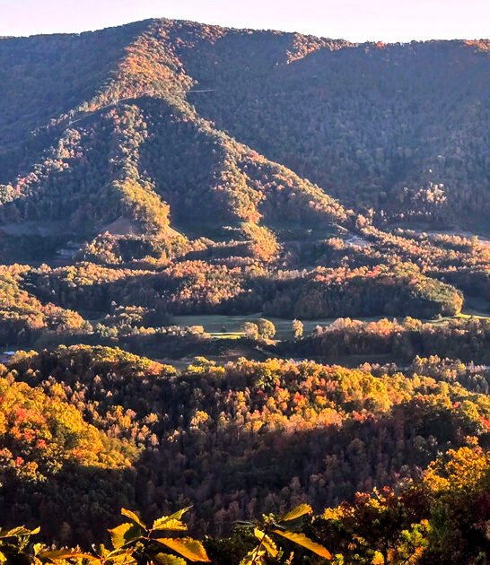 dreamy state park kentucky ftr