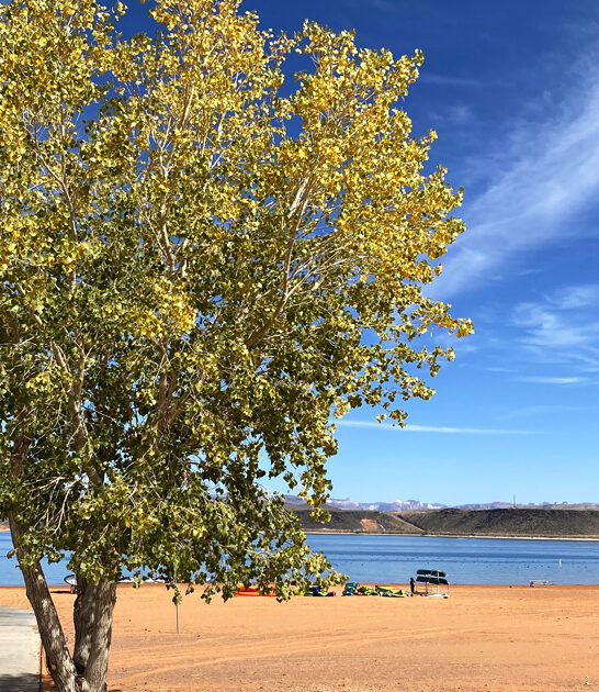 dreamy state park utah ftr