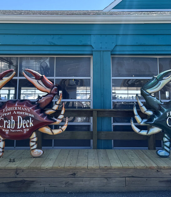 drive maryland crab shack ftr
