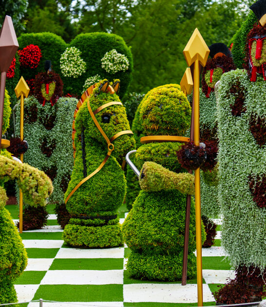 enchanting botanical garden georgia ftr
