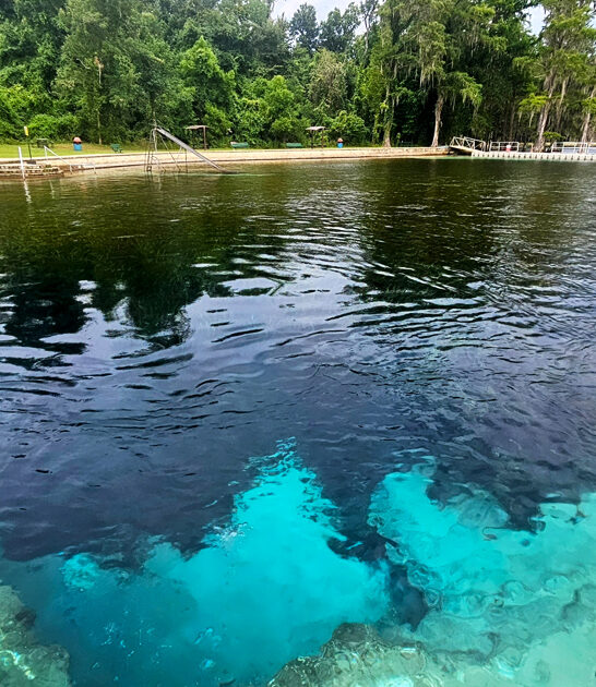 enchanting florida spring ftr
