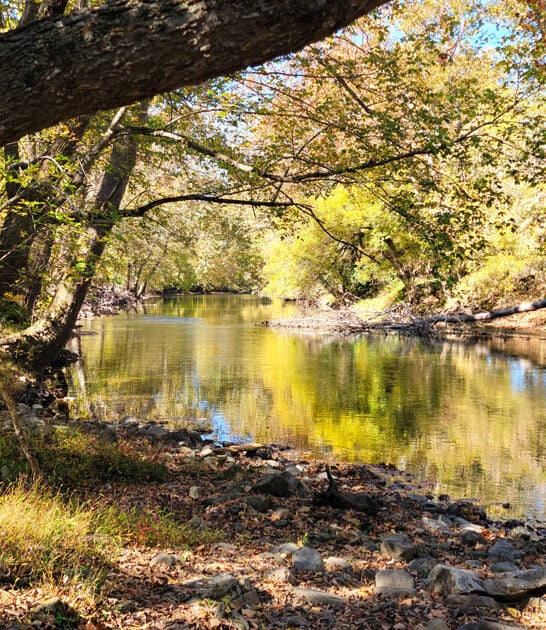enchanting state park virginia ftr