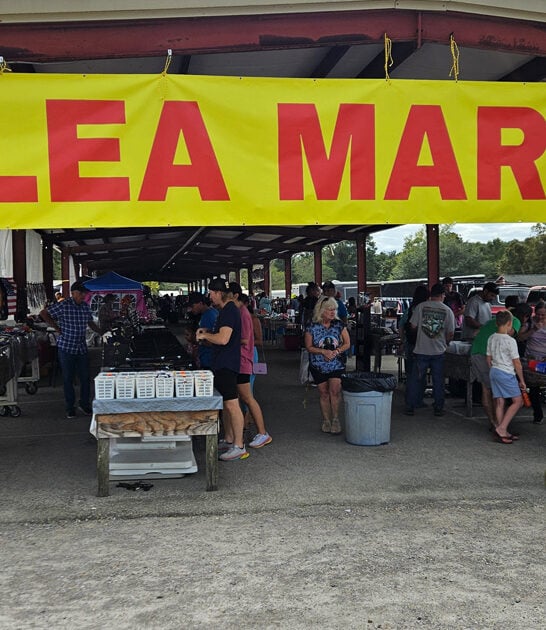 enormous market mississippi treasures ftr