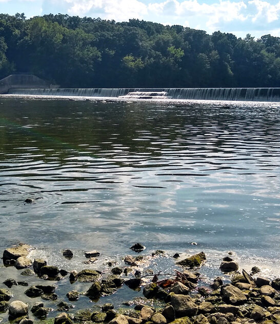 fantastic remote park ohio ftr