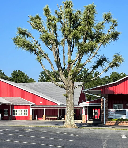 finest north carolina steaks ftr
