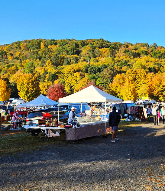 flea connecticut massive markets ftr