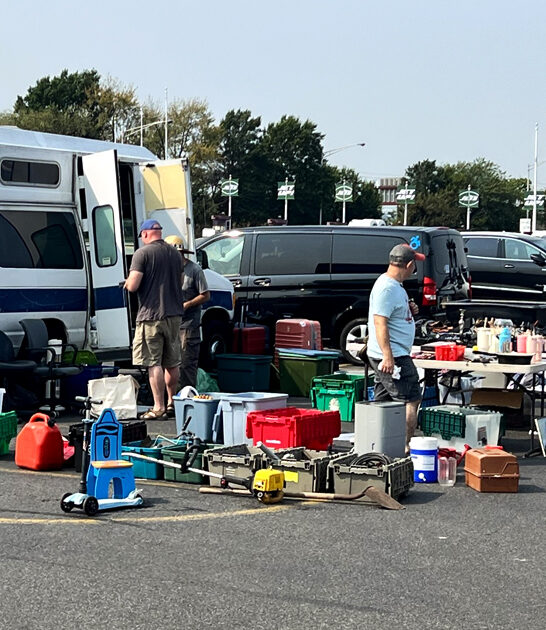 flea frenzy new jersey ftr