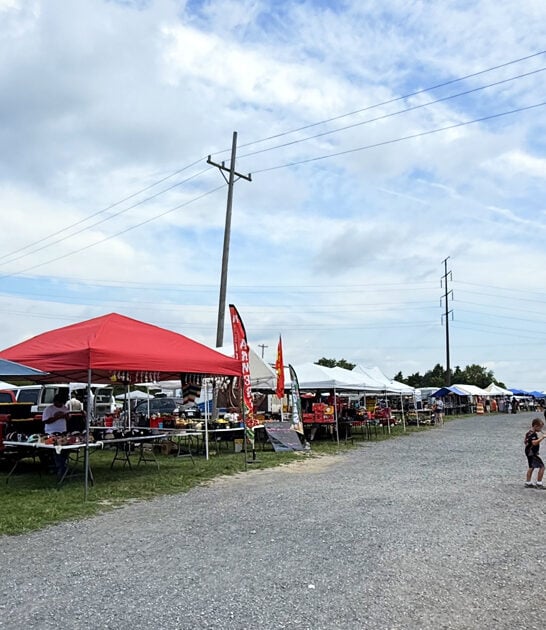 flea market virginia bargain ftr