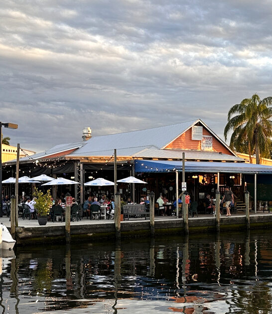 florida fish chips amazing ftr