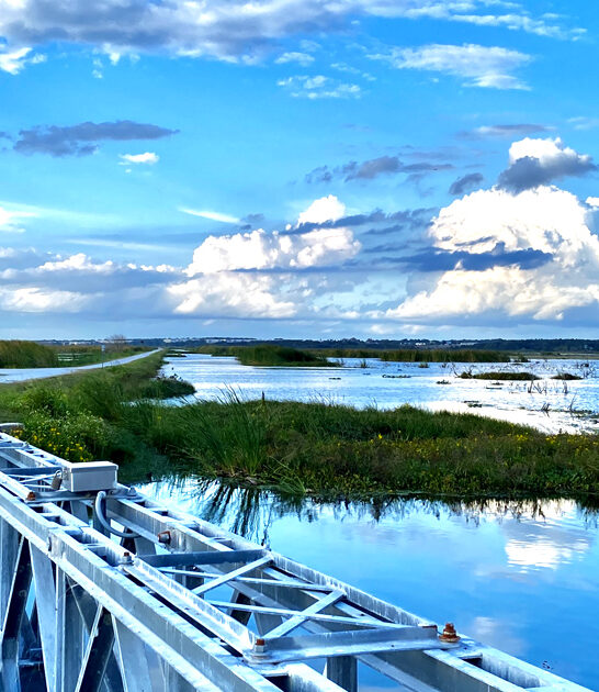 florida wildlife drive thrilling ftr