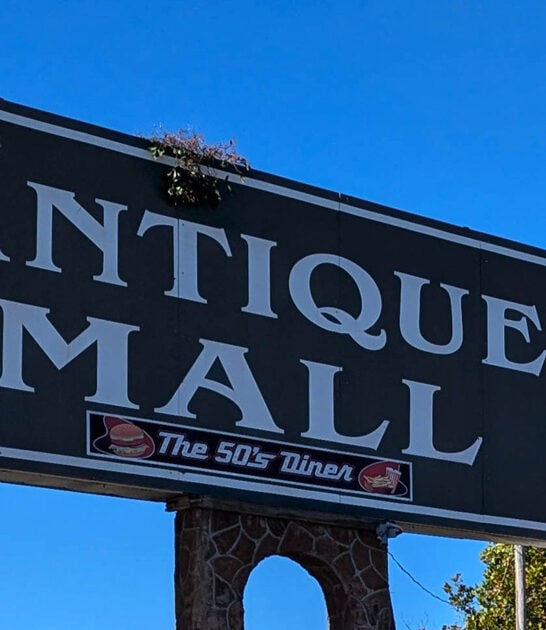 gigantic tennessee treasure spot ftr