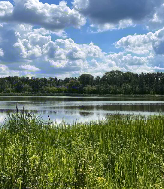 gorgeous illinois nature preserve ftr