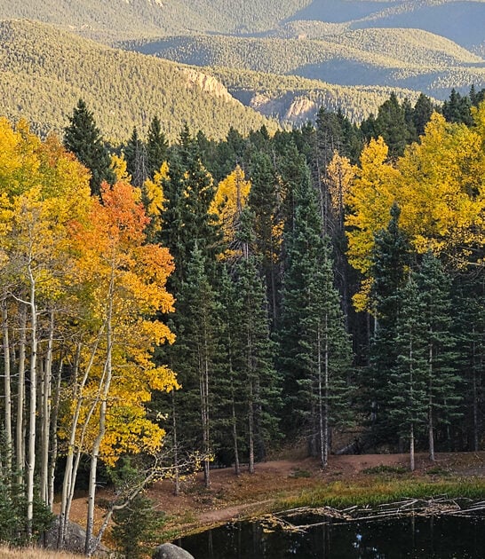 gorgeous state park colorado ftr