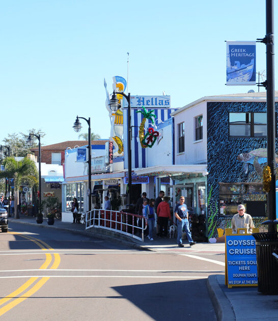 gorgeous towns florida postcard ftr