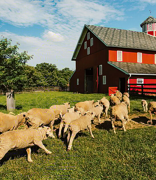 hidden historic farm ohio ftr