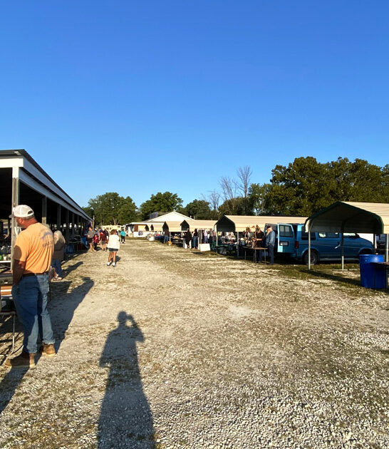 largest priceless bargains missouri ftr