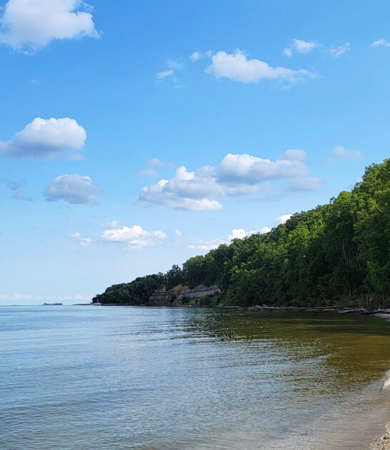 maryland outdoor retreat bliss ftr