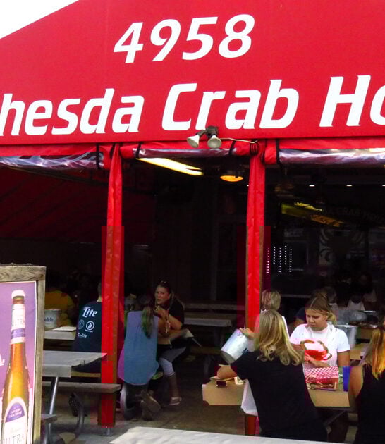 maryland shell crabs favorite ftr