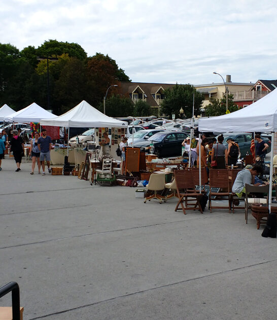 massive bazaars massachusetts ftr